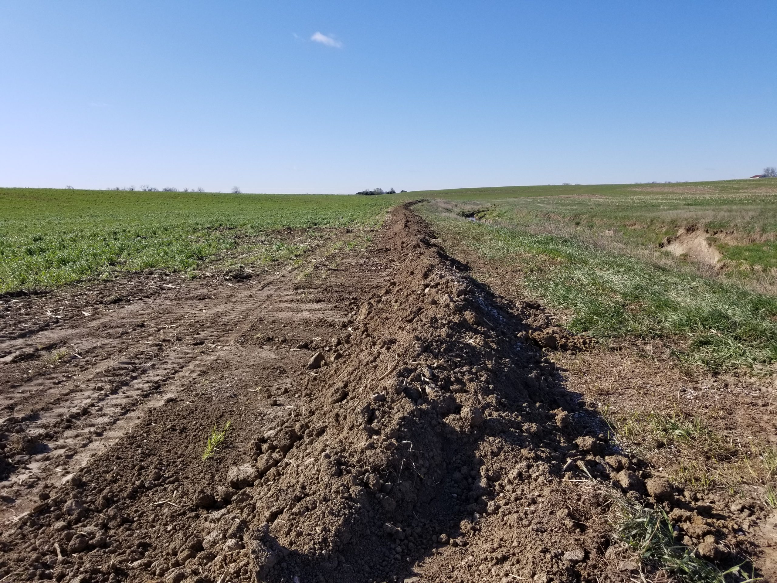 Saturated Buffers in Northwest Ohio: Reducing Field Drainage for ...